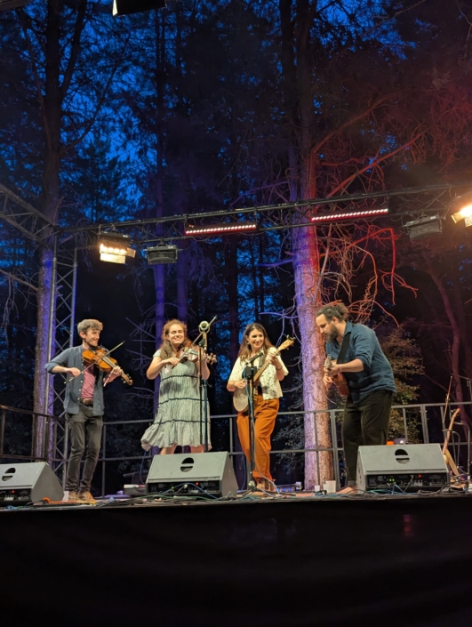 One Night String Band - Shrewsbury Folk Festival